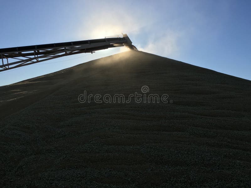 Grain Conveyor Pouring Wheat Onto a Stack Stock Photo - Image of grains ...