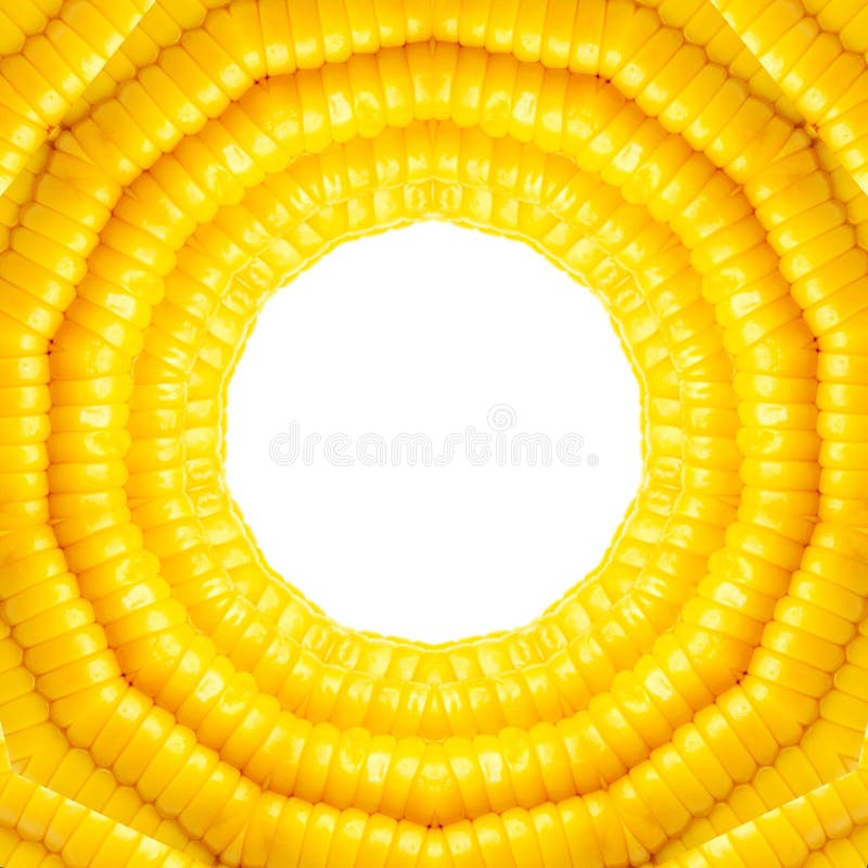 A grain corn circle frame stock illustration. Illustration of grain ...