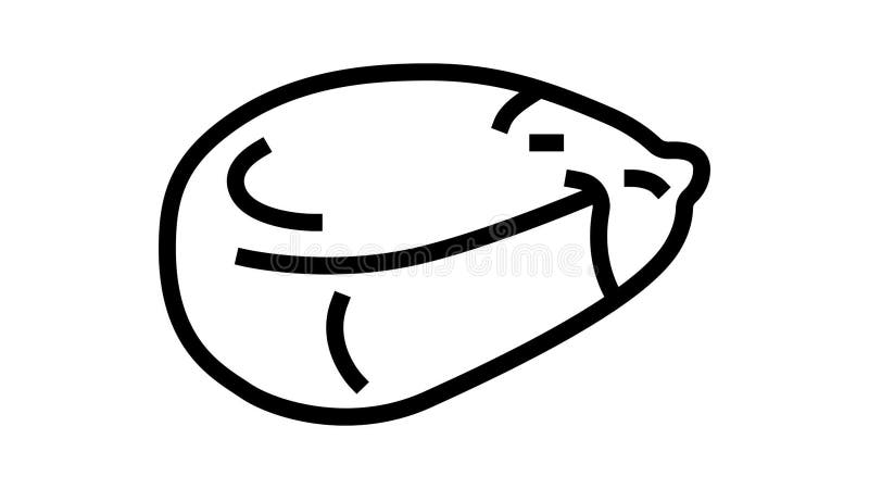 Grain Corn Line Icon Animation Stock Footage - Video of natural ...