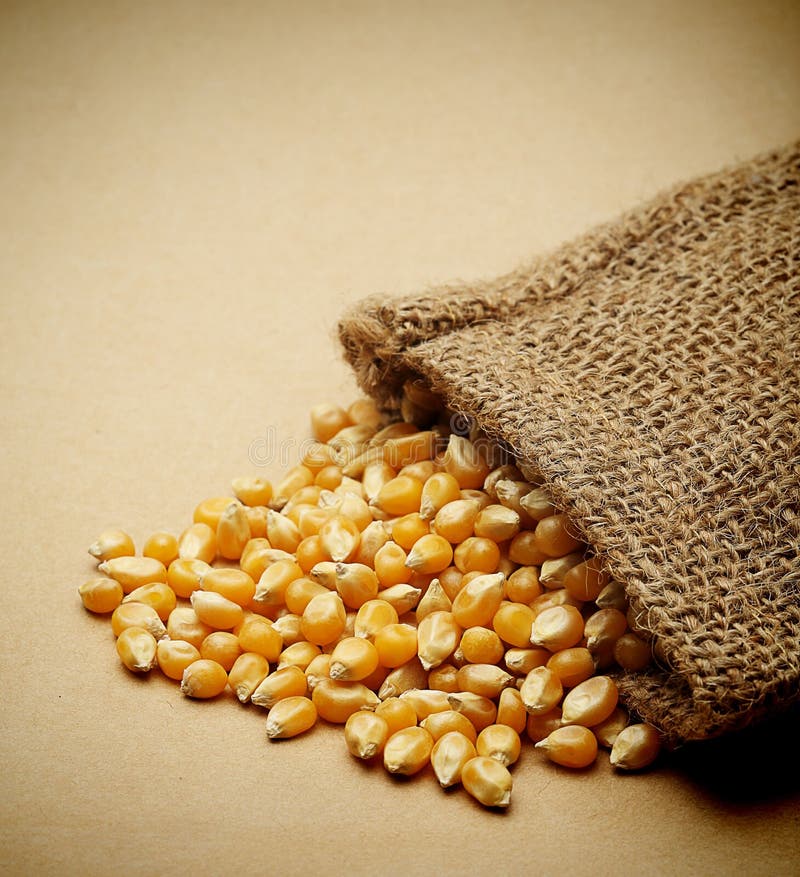 The Grain Corn in Small Sack Stock Photo - Image of tasty, uncooked ...