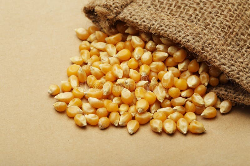 The Grain Corn in Small Sack Stock Image - Image of maize, rice: 43006411