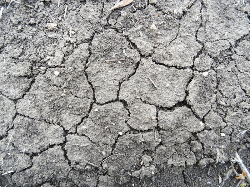 Dry Soil in the Field, the Consequences of Global Warming, Cracks in ...