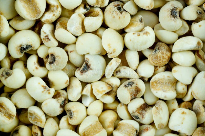 Grain de millet image stock. Image du grain, entier, particule - 30916713