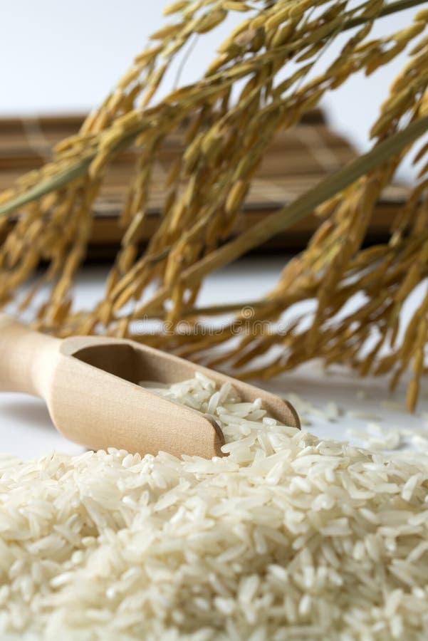 Grain de riz image stock. Image du chinois, agriculture - 34003381