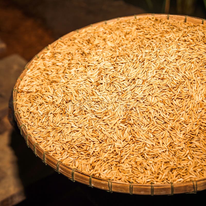Grain De Riz Dans Le Macro Photos Stock - Téléchargez 193 Photos libres ...