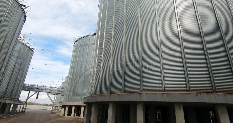 Grain Dryer Containers. a Plant for Processing and Harvesting Animal ...