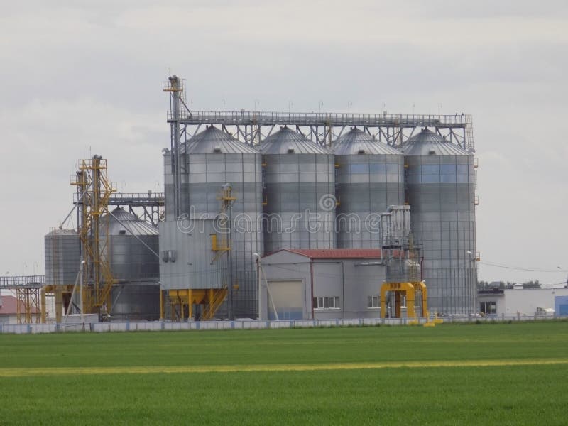 Grain drying complex stock photo. Image of industry - 184254222