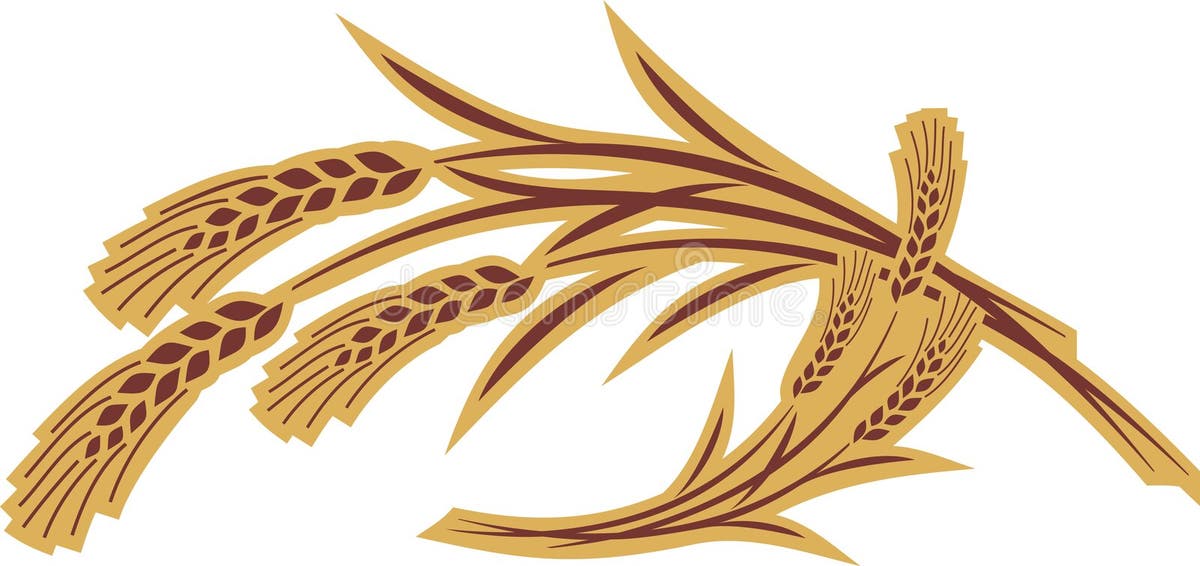 Decorative Grain Ears Stock Illustrations – 1,468 Decorative Grain Ears ...