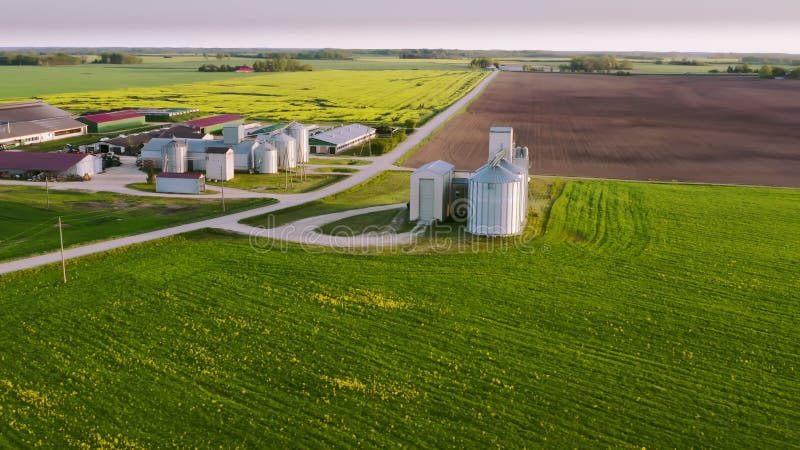 Grain Elevator, Agricultural Silos. Agricultural Fields with a Large ...