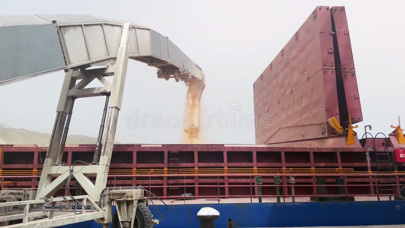 Grain Elevator in Port. Grain Wheat or Corn Loading To Bulker Ship ...