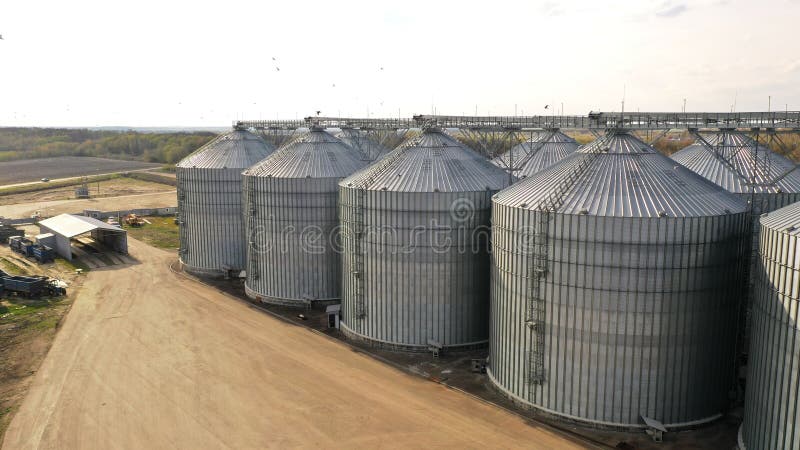 Grain Elevator Silos Storing Wheat and Corn in Rural Landscape Stock ...