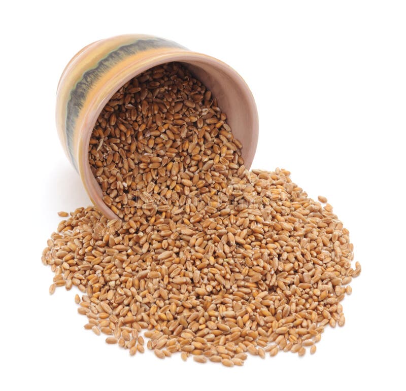 Grain Entier De Bl? Avec Une Cruche Photo stock - Image du poignée ...