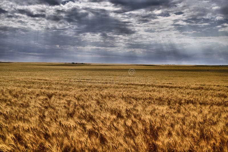 Grass prairies and sunset stock image. Image of cloud - 46998161