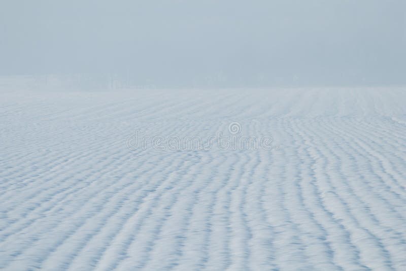 Grain Field Snow Covered. Agriculture Field Under Snow Stock Image ...