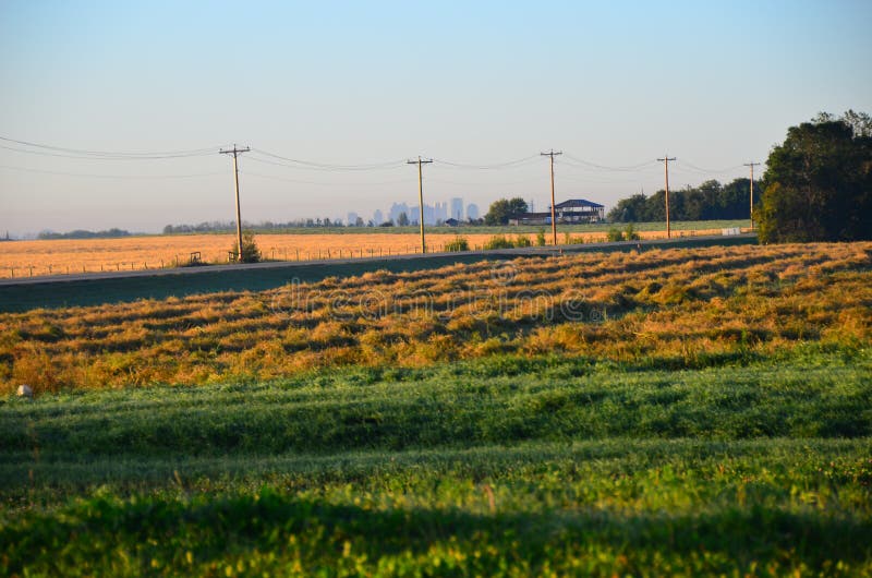 Grain Fields Alberta Canada Stock Image - Image of summer, alberta ...