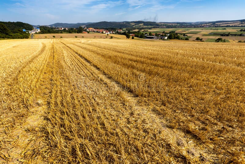 Grain Fields after the Harvest at Herleshausen in Germany Stock Image ...