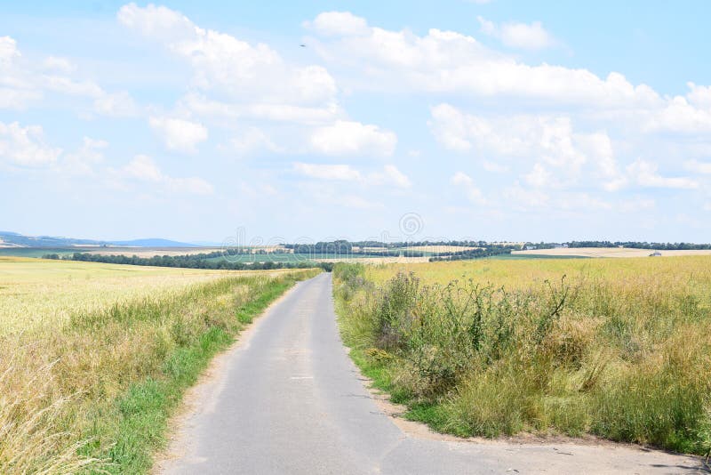 Farm Road between Ripe Fields Stock Photo - Image of highway, maifeld ...