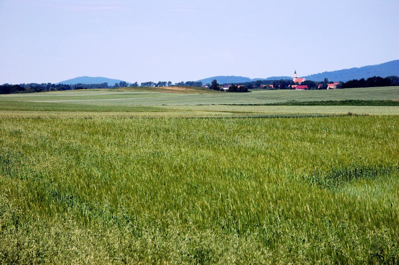 Grain fields in Poland stock image. Image of hills, lower - 19894819