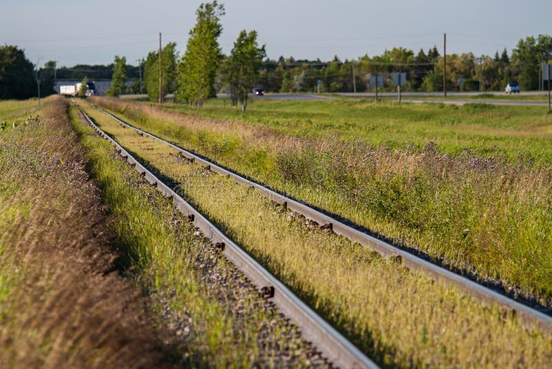 Grain Grows between the Train Tracks Stock Photo - Image of vintage ...