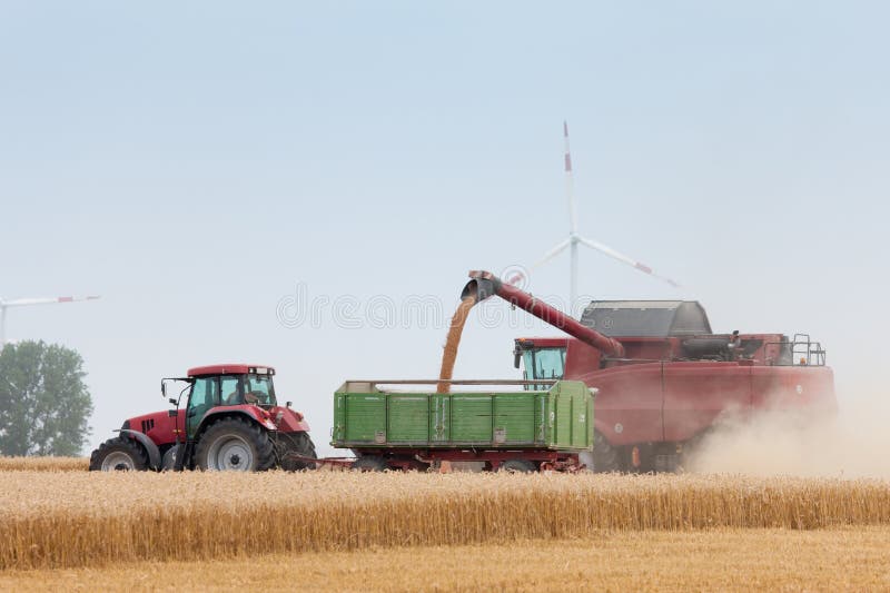 Grain Harvest Being Brought in Stock Photo - Image of harvester, wheat ...