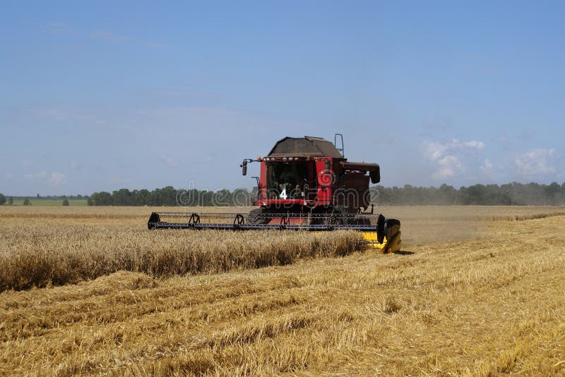 Grain Harvester Combine in the Field Stock Image - Image of field ...