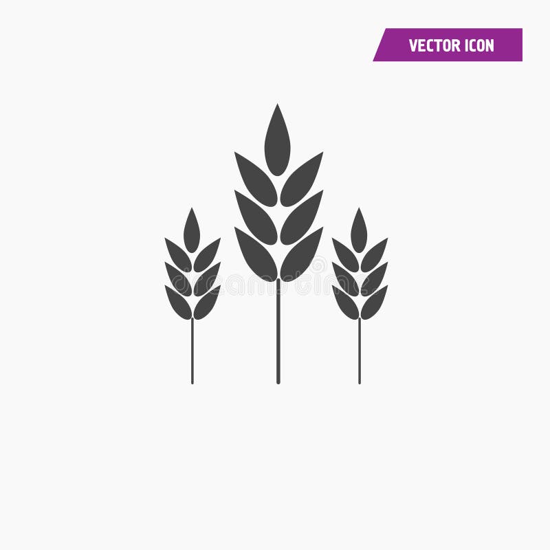 Grain, Plant Field Icon. Symbol of Harvest Stock Vector - Illustration ...