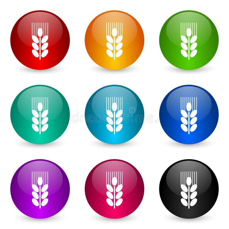 Grain Icon Set, Colorful Glossy 3d Rendering Ball Buttons in 9 Color ...