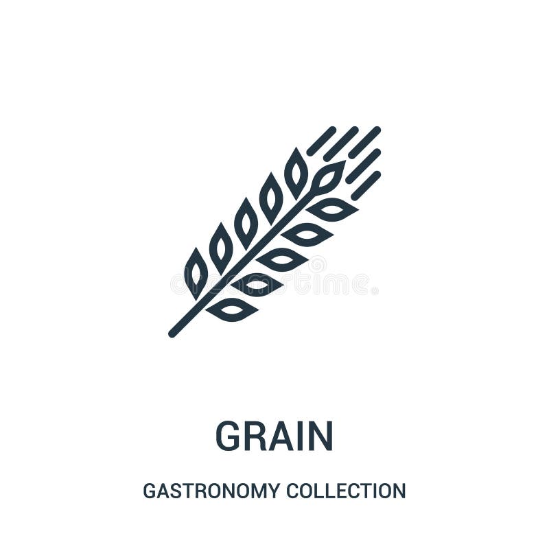 Grain Icon Vector from Gastronomy Collection Collection. Thin Line ...