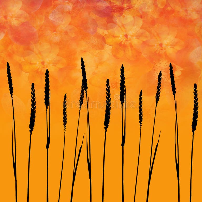 Grain Layers Stock Illustrations – 1,861 Grain Layers Stock ...