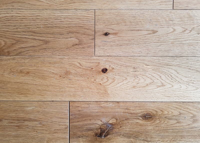 Texture - Oak stock photo. Image of shiny, texture, surface - 108040744