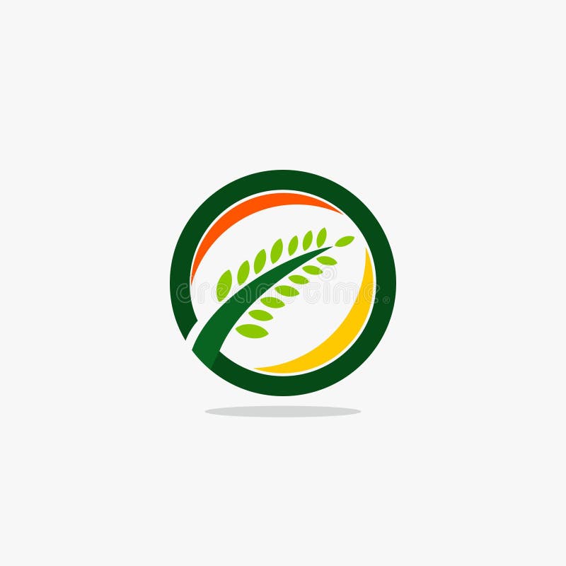 Grain Leaf Icon Logo Vector Stock Vector - Illustration of corn, label ...