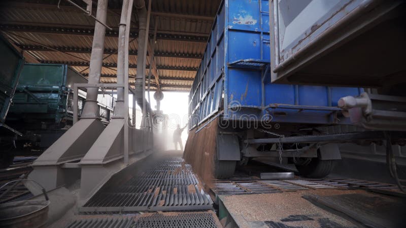 Grain Lorry Unloading on an Elevating Hydraulic Platform Unloader at ...