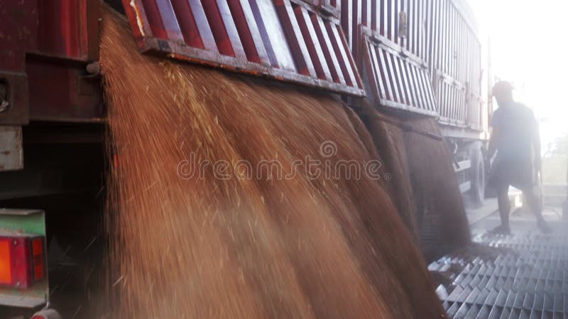 Grain Lorry Arrives To Grain Elevator Terminal. Dump Truck Drive Over ...