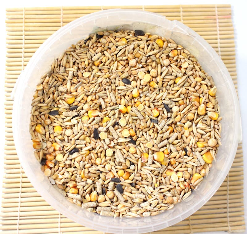 Grain mix stock photo. Image of grain, bucket, pets, feeder - 50642642