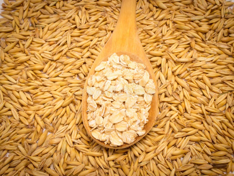 Grain oats and oatmeal stock photo. Image of grain, vegetarian - 76734508