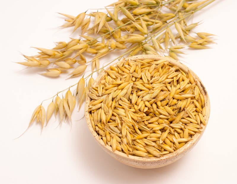 Grain oats and oatmeal stock photo. Image of closeup - 63654824