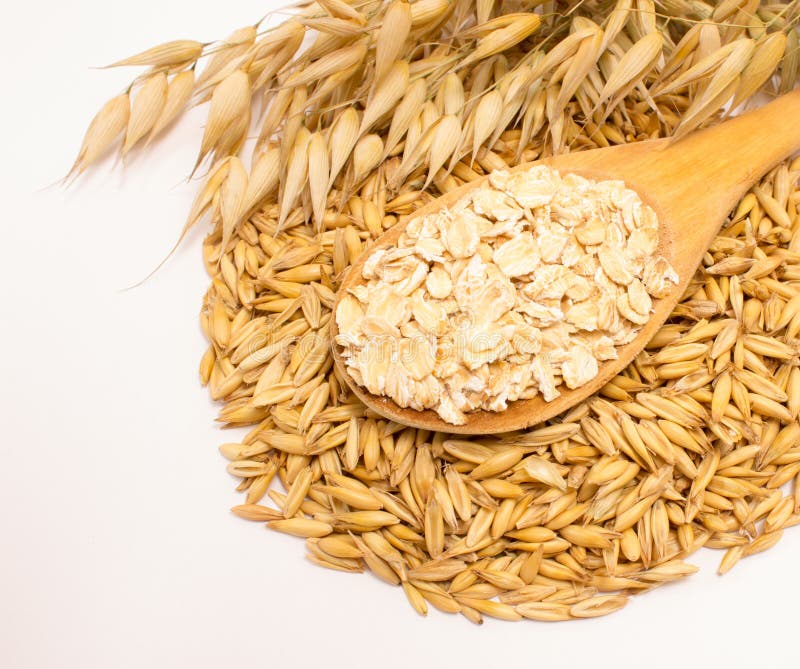 Grain oats and oatmeal stock photo. Image of isolated - 78153652
