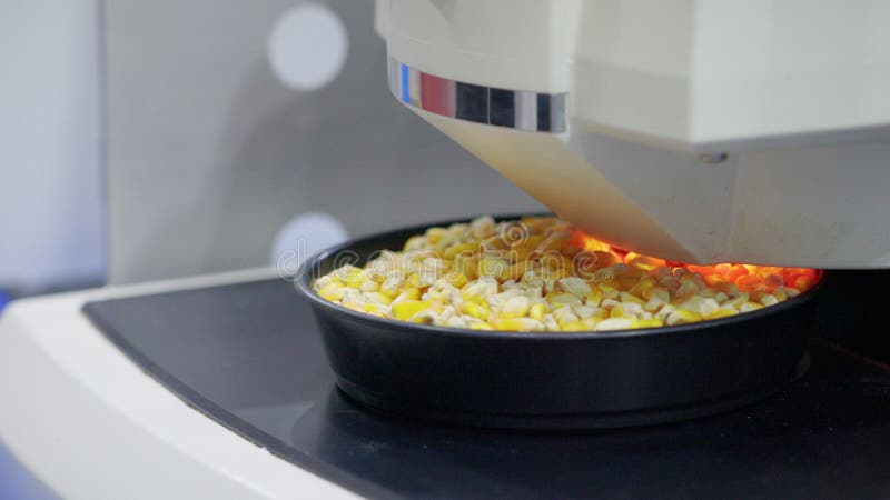 Grain Quality Test with Infrared Analyzer in Agro Lab Stock Image ...