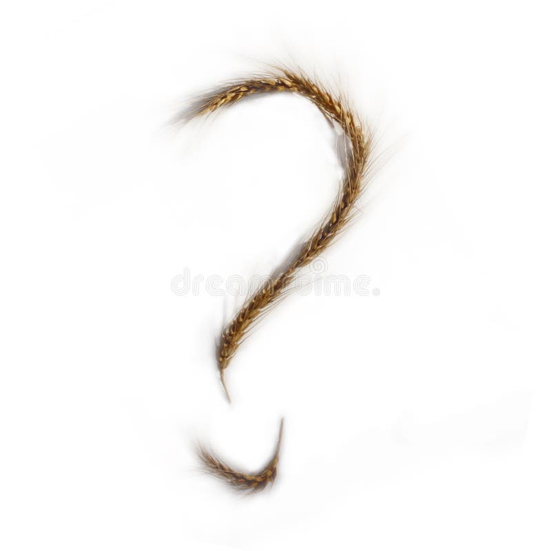 Grain question mark stock photo. Image of food, summer - 16050230