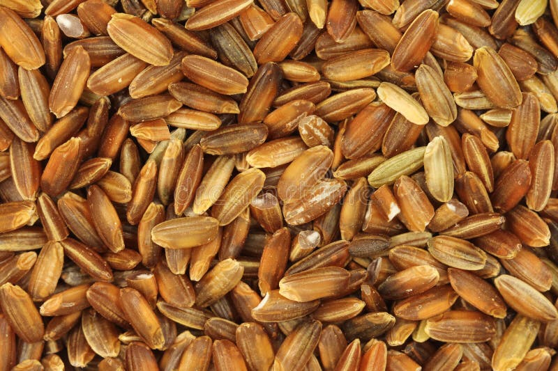 Grain Rice with Bran Shell Background Stock Image - Image of rice ...