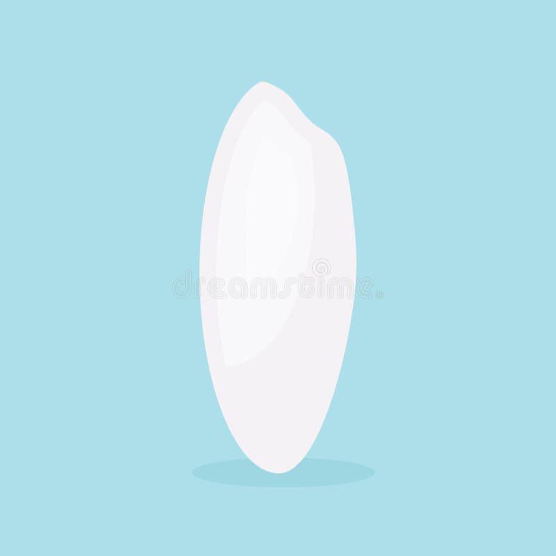 Grain of rice stock vector. Illustration of object, healthy - 242642930