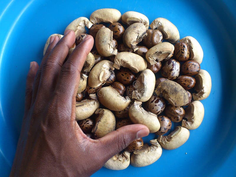 Grain of rubber in a plate stock image. Image of back - 62311721