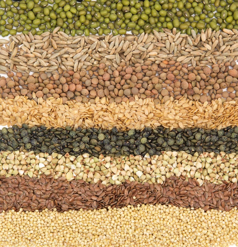 Grains and seeds stock photo. Image of fiber, meal, harvest - 68690636