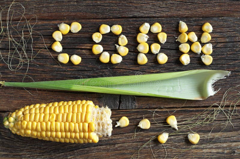 Grain in Shape of Word Corn Stock Image - Image of fresh, sweet: 75523285