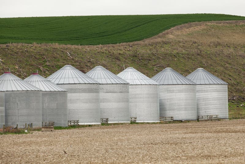 Grain silo stock photo. Image of green, farmland, field - 78834902