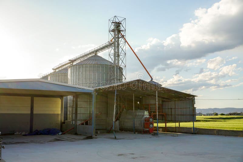 Grain Silo Captured by a Farmland on a Bright Sunny Day Editorial Stock ...