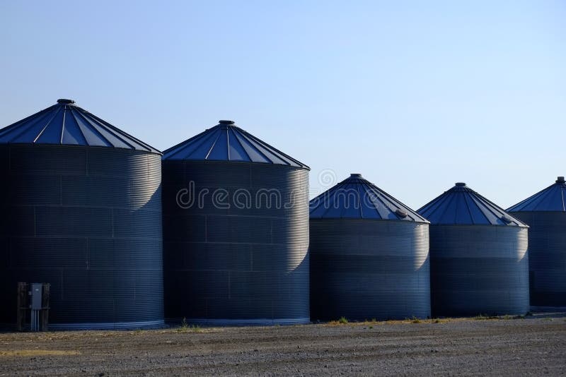 Grain Silos on Farm for Farming and Storage of Wheat Stock Image ...