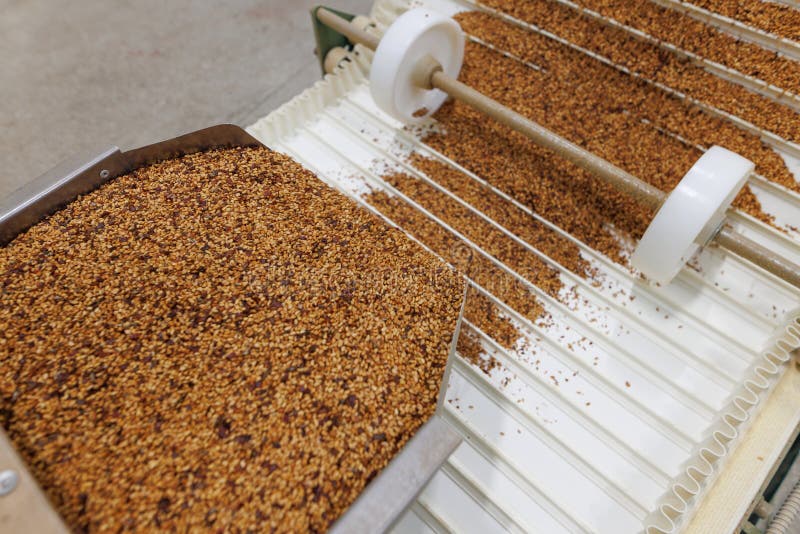 Grain Sorting Machine, Paddy Machine Sorts Grains of One Crop ...