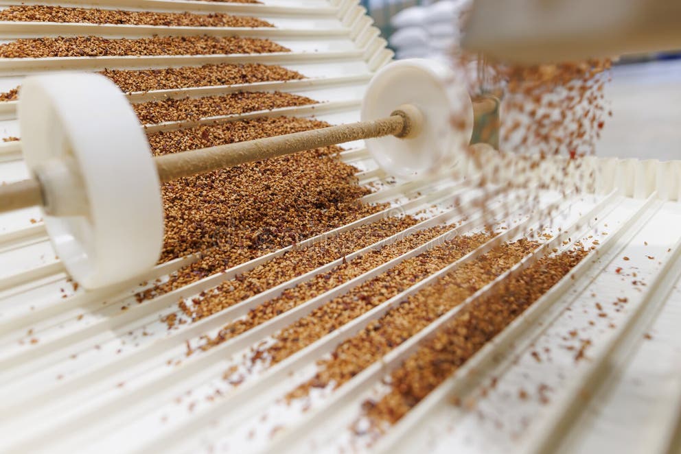 Grain Sorting Machine, Paddy Machine Sorts Grains of One Crop ...