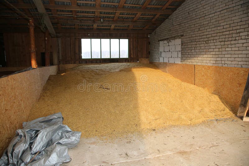 Grain Storage in Countryside Stock Image - Image of indoor, harvest ...